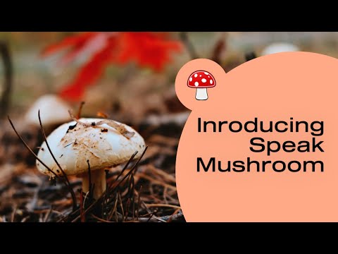 Hello, world! Speak Mushroom Premiere