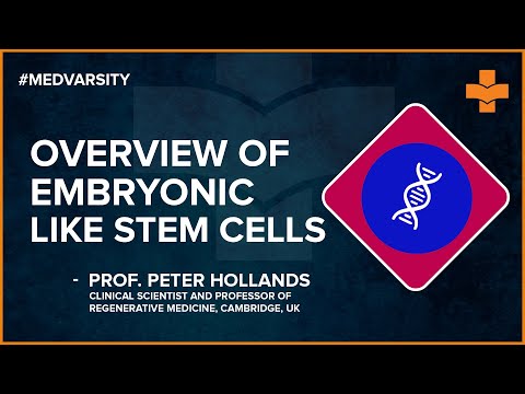 Overview of Very Small Embryonic Like Stem Cells | Medvarsity