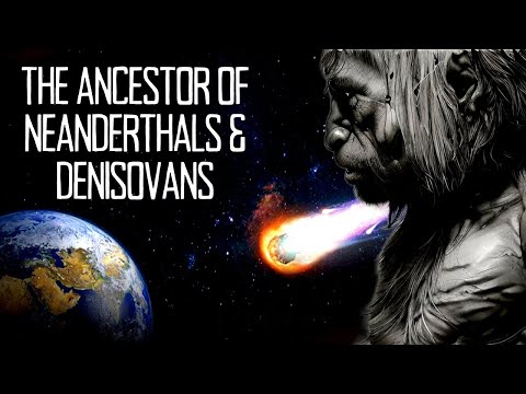 The Dark Truth of the Genetic Origins of Homo Sapiens