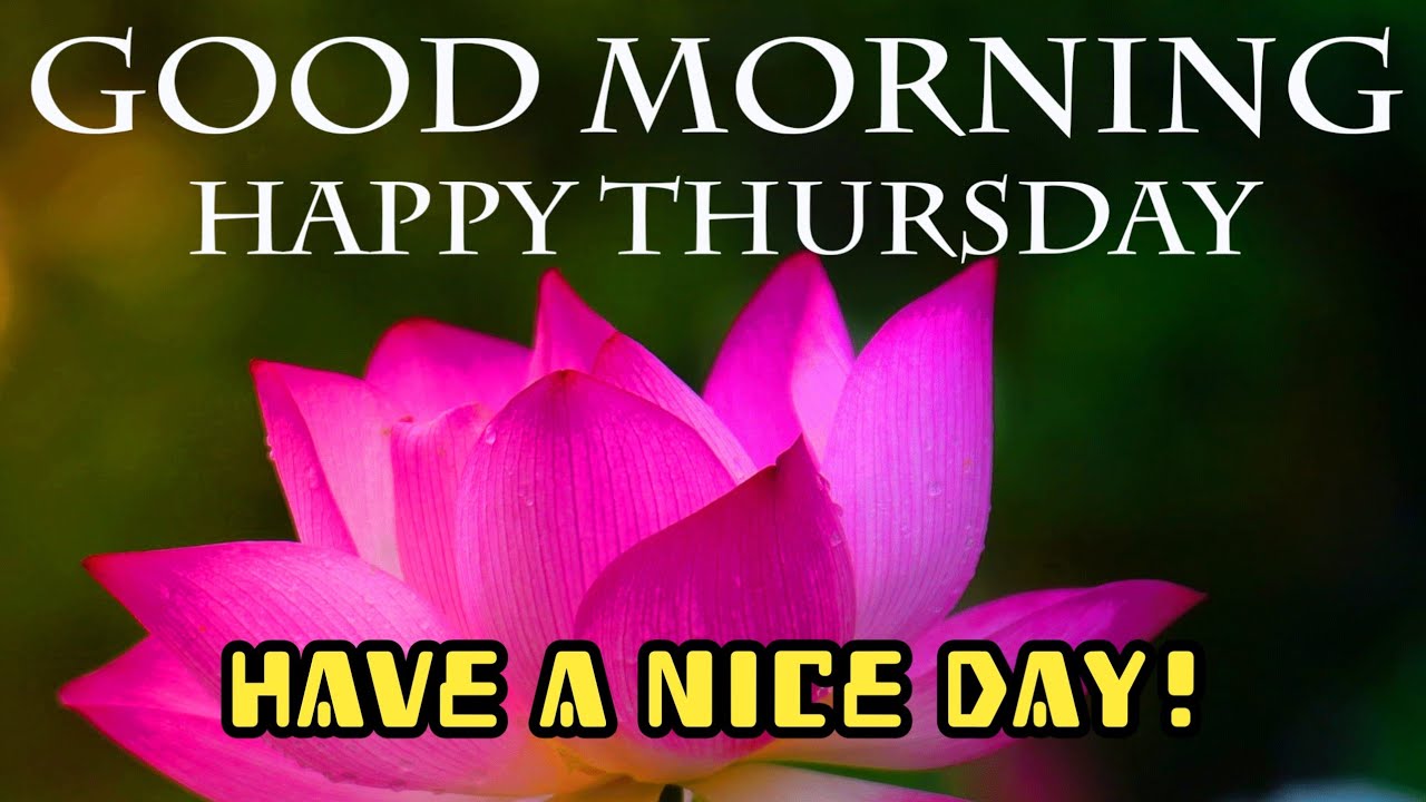 Happy Thursday Status | Thursday Blessings Good Morning | Happy Thursday