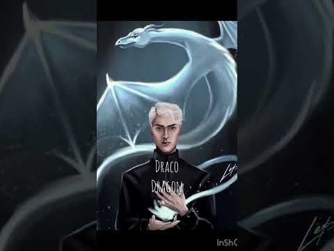 Harry potter characters Patronus!