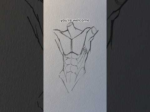 Draw abs like this 💪 || Jmarron