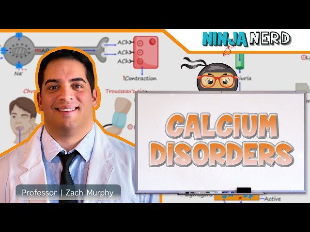Chronic Kidney Disease - Ninja Nerd Lectures