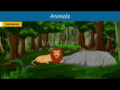 Types of animals based on their eating habits
