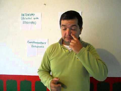 ANTONYMY PRESENTATION