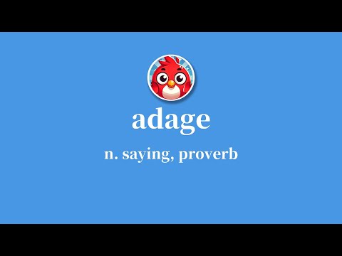 Adage: Meaning, Definition and Pronunciation in American & British English with Examples - adages