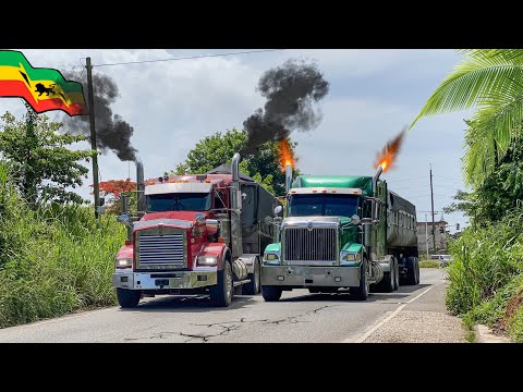 Jamaican Truckers | In Action | S01E25 | Cane Crop 2024 | Linstead | Official