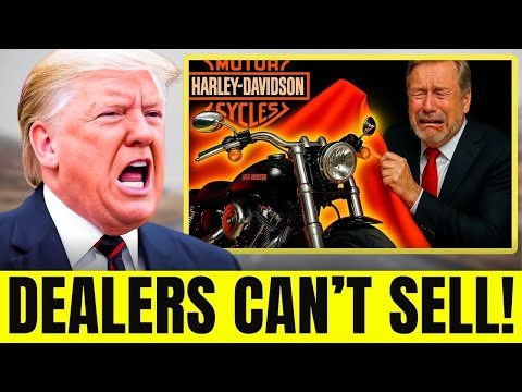 20 Japanese Motorcycles Dealers CAN’T Sell, Buy Them DIRT CHEAP!