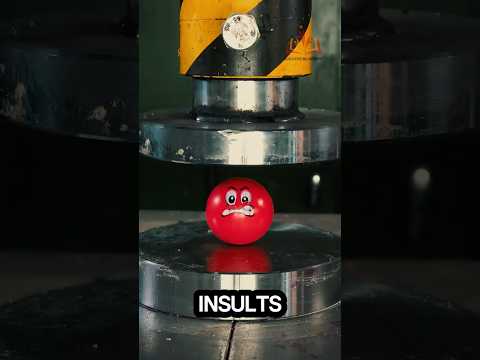 What to do if a fight breaks out || Success Blueprint #shorts #shortvideo