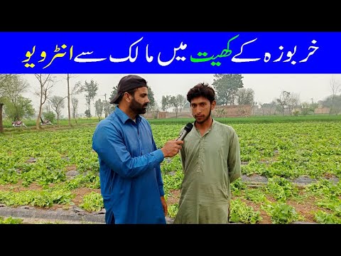 Interview With The Owner At The Melon Farm | Agriculture Channel