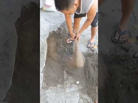 butasan ta para repair guyz