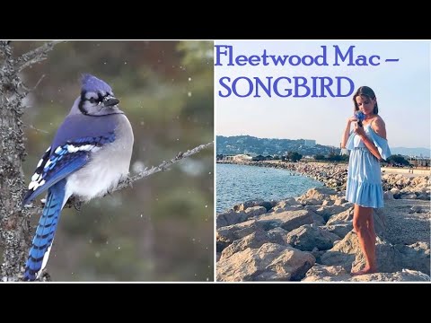 Fleetwood Mac – SONGBIRD (with Lyrics & Christine McVie on Vocals)