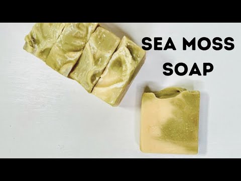 SEA MOSS Cold Process Soap Making /Gentle Soothing Natural Soap#soapmaking #naturalbeauty