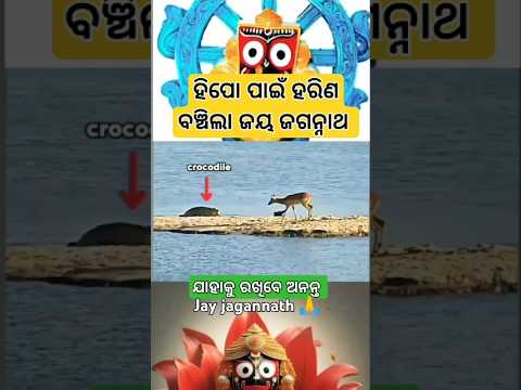 Jay jagannath 🙏🙏🙏 odia sad song 🎉#viralshort #youtube #sad #song 🎉🎉🎉