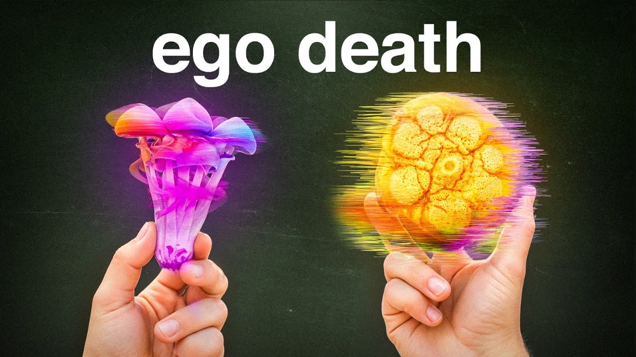 Mushrooms vs Ayahuasca: Which One Feels Better?