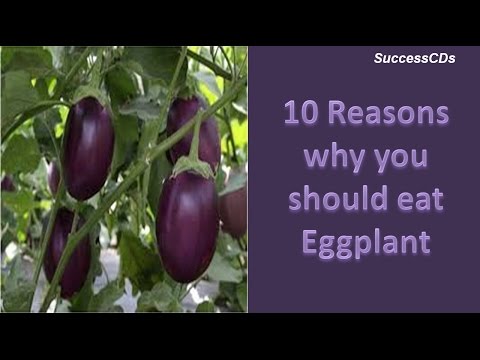 Eggplant nutrition facts | Eggplant Health Benefits