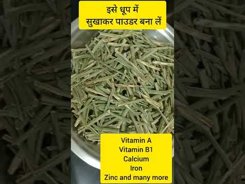 drumstick powder #healthyrecipe#ytshorts#shorts