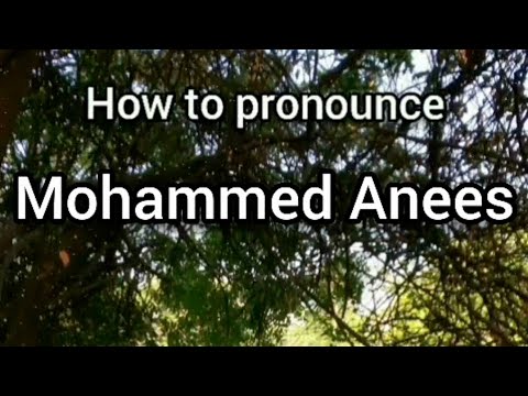 How to Pronounce Mohammed Anees
