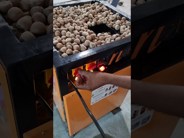 Manual Supari Cutting Machine - Automatic Supari Cutter Machines ...