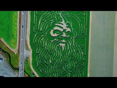 Carpinito Brothers Sasquatch Corn Maze 2017