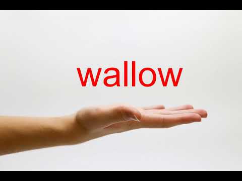 How to Pronounce wallow - American English