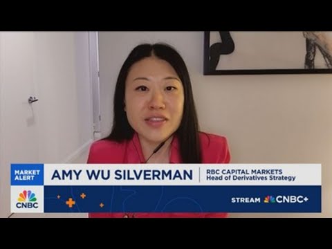 Volatility is higher — we're in a limbo regime: RBC's Amy Wu Silverman