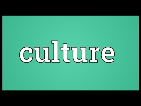 Culture Meaning