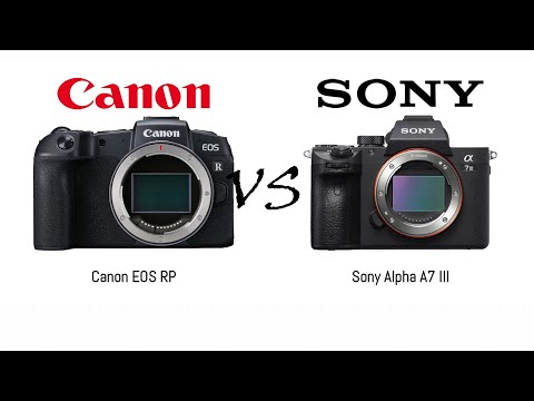Canon EOS RP VS Sony Alpha A7III.
