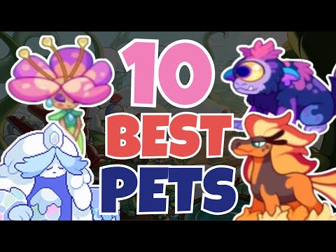 Top 10 Pets In Prodigy! (Actually) | Prodigy Math Game
