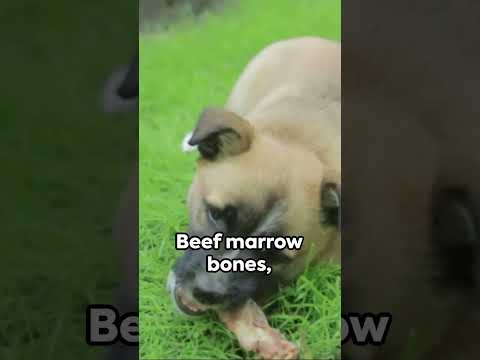 The best raw bones for dogs