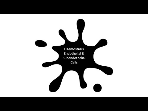 Haemostasis 3: Tissue Factor, Endothelial and Subendothelial cells