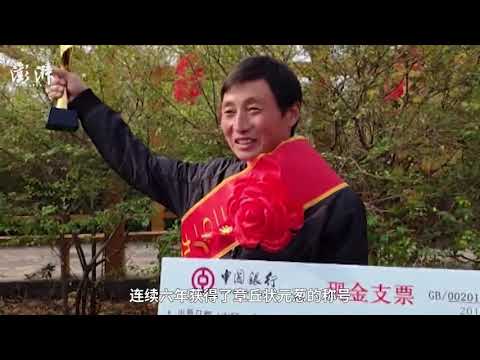 Man in Shandong grows 2.43m-long green onion and wins cash award
