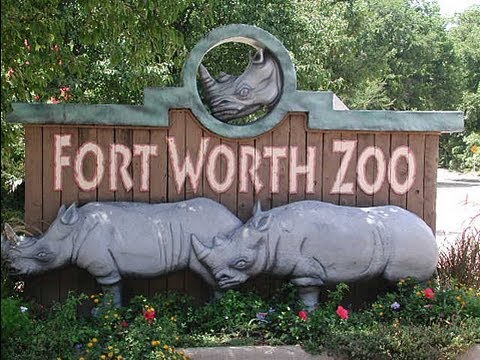 Fort Worth Zoo : Koi, Turtle & Ducks