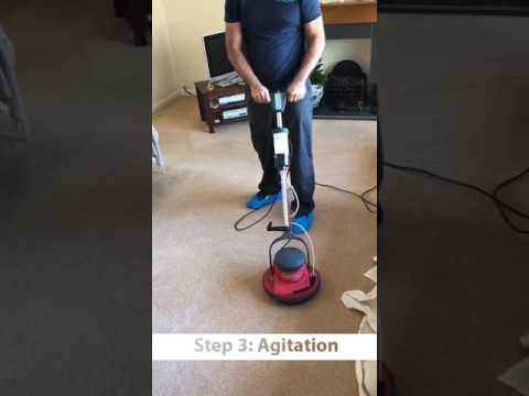 Cleaning Carpets "The Correct Way"