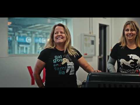 A Ticket Home trailer | OFFA 2025