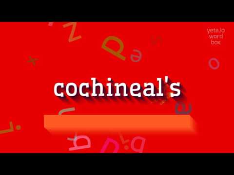 How to say "cochineal's"! (High Quality Voices)