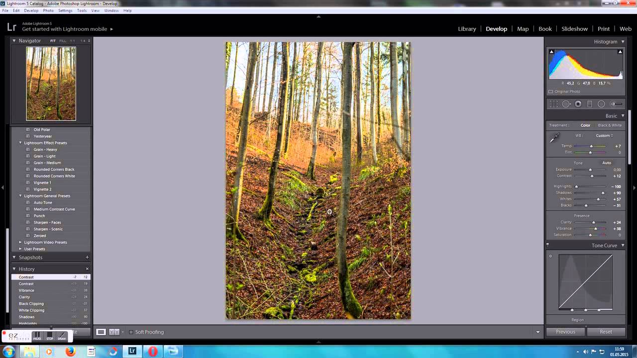 Post-Processing #03 - Autumn Forest [Basic]
