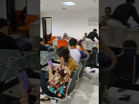 BIDANG PELAYANAN DINAS PENDIDIKAN DKI JAKARTA