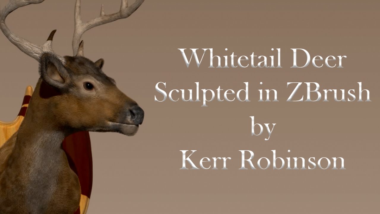 Whitetail Deer - ZBrush