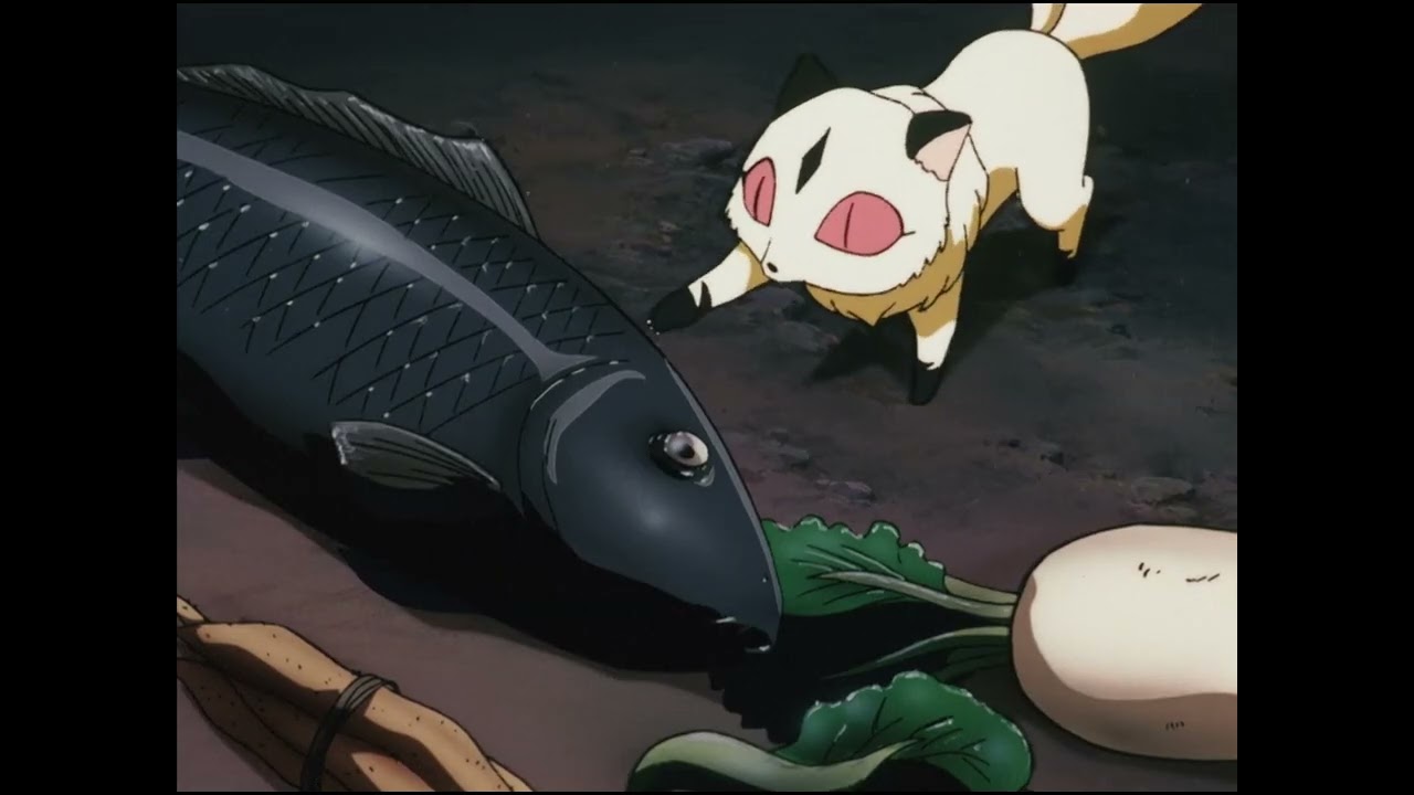 kirara cat moment