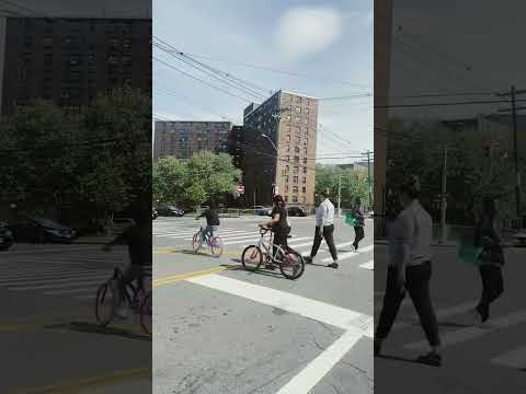 Castle Hill Houses. Bronx Most Dangerous Project?