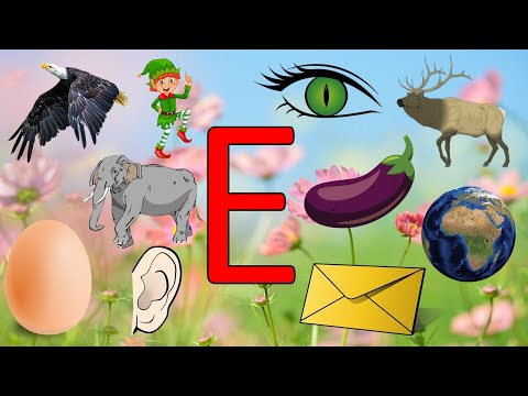 30 Words That Start With Letter "E" | Learning The Alphabet | Videos For Kids