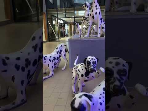 101 Dalmatians