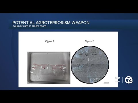 Chinese nationals accused of smuggling pathogen into U.S. for work at U-M