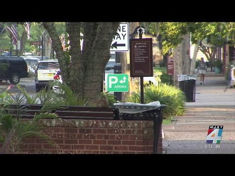 Fernandina Beach community protests proposal for paid parking in historic downtown district