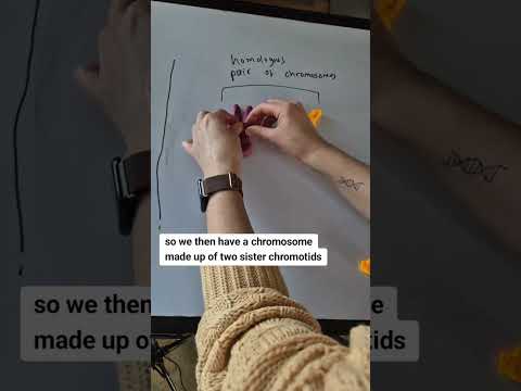 Daily A-level Revision #alevelbiology #chromosomes