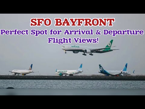 Perfect Spot for Arrival & Departure Flight Views! #sfo #viral