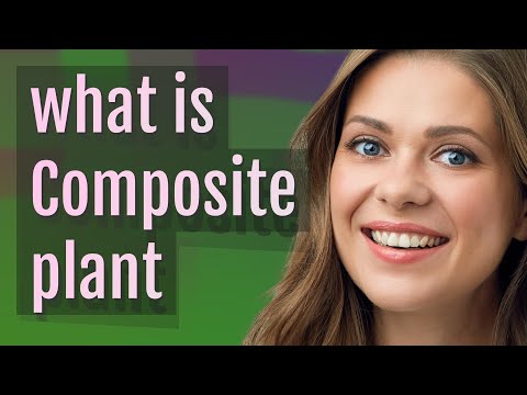 Composite plant | meaning of Composite plant