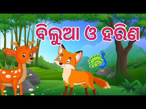 ବିଲୁଆ ଓ ହରିଣ // fox and deer story // cartoon video // odiastory // cartoon @RbCartoonStory-jr