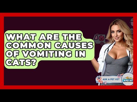 What Are The Common Causes Of Vomiting In Cats? - Ask A Pet Vet